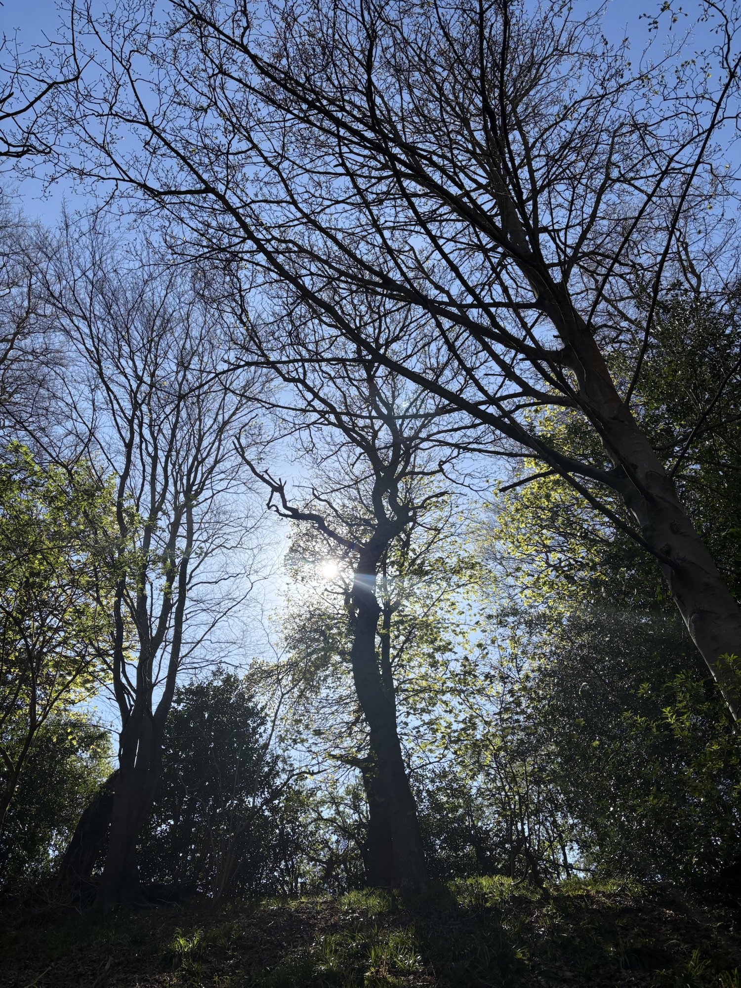 Len Pennie – Paul Writes Poems