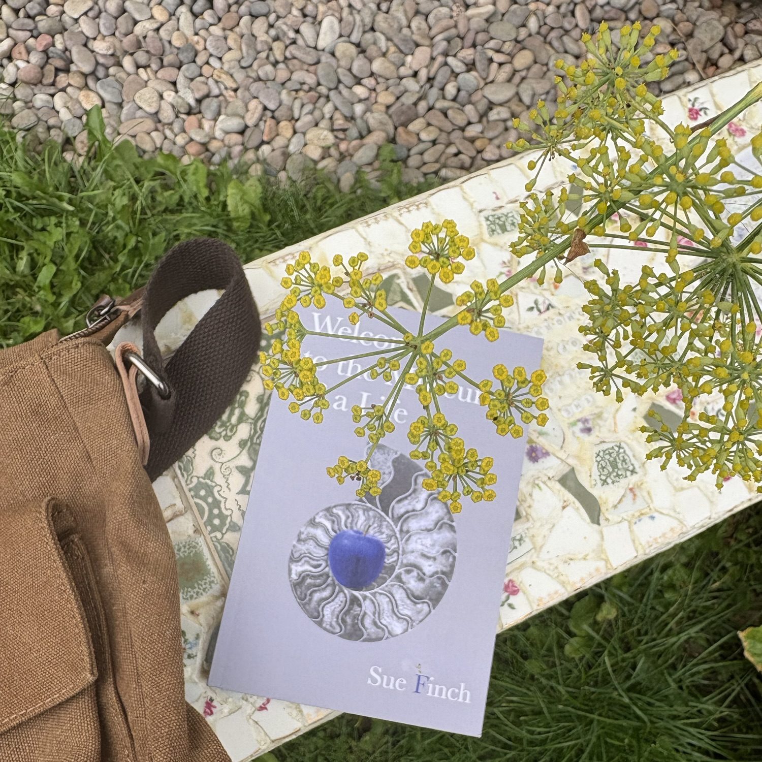 The Book Bag: Welcome To The Museum of A Life by Sue Finch – Paul ...
