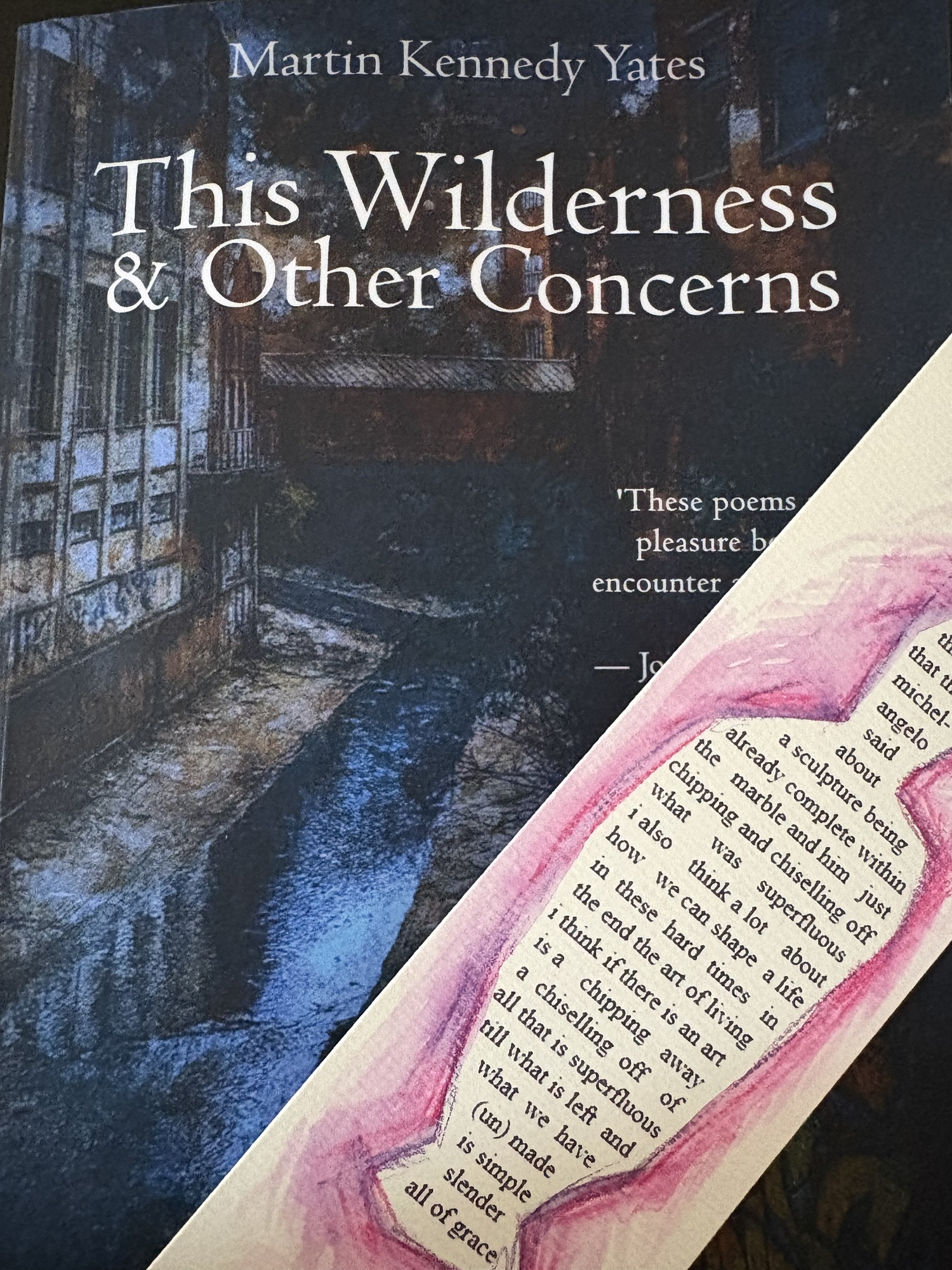 The Book Bag: This Wilderness & Other Concerns by Martin Kennedy Yates ...