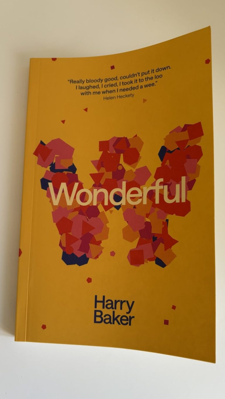 The Book Bag: Wonderful by Harry Baker – Paul Writes Poems